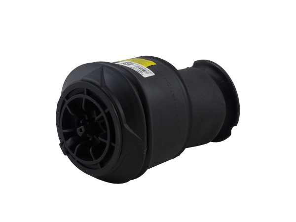 DUNLOP - APART - air suspension parts